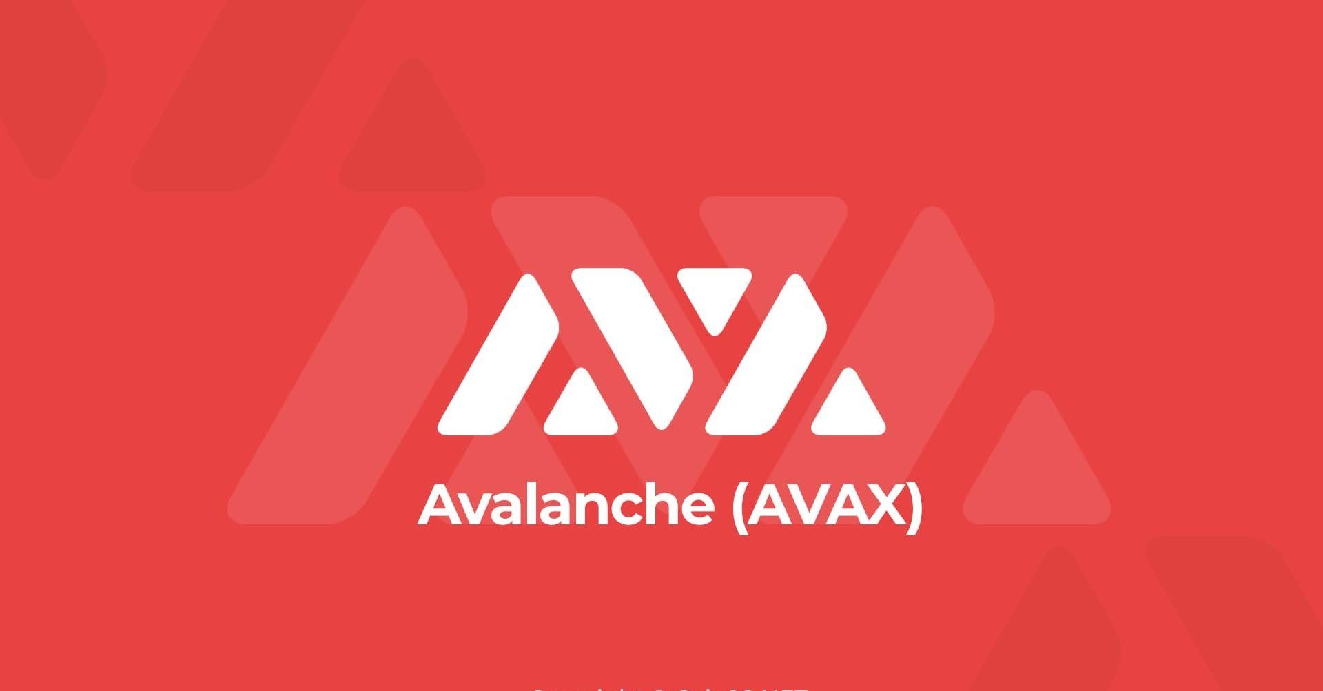 Digital Assets – WEAL28H, LLC